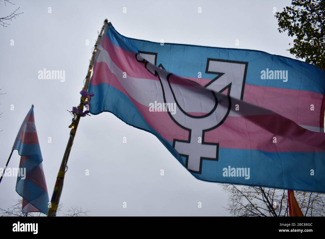 Transgender Symbol Flag