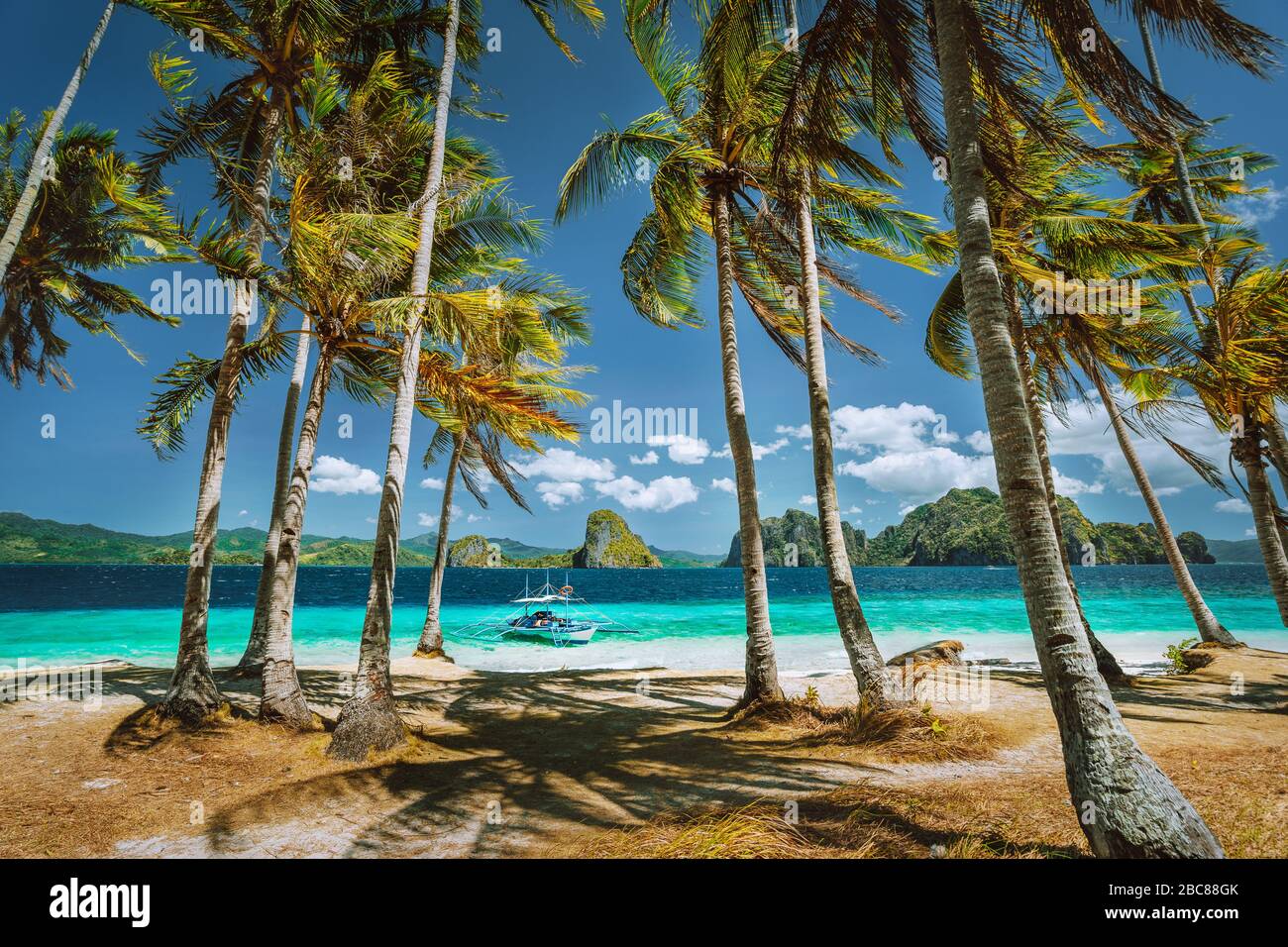 Exploring Palawan most famous touristic spots. Palm trees and lonely ...