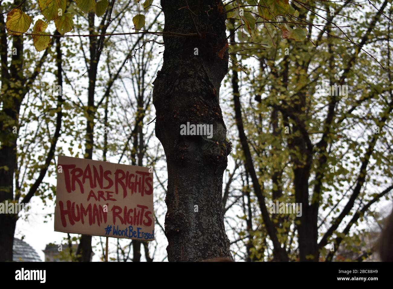 Trans rights are human rights sign at a protest at the US embassy in ...