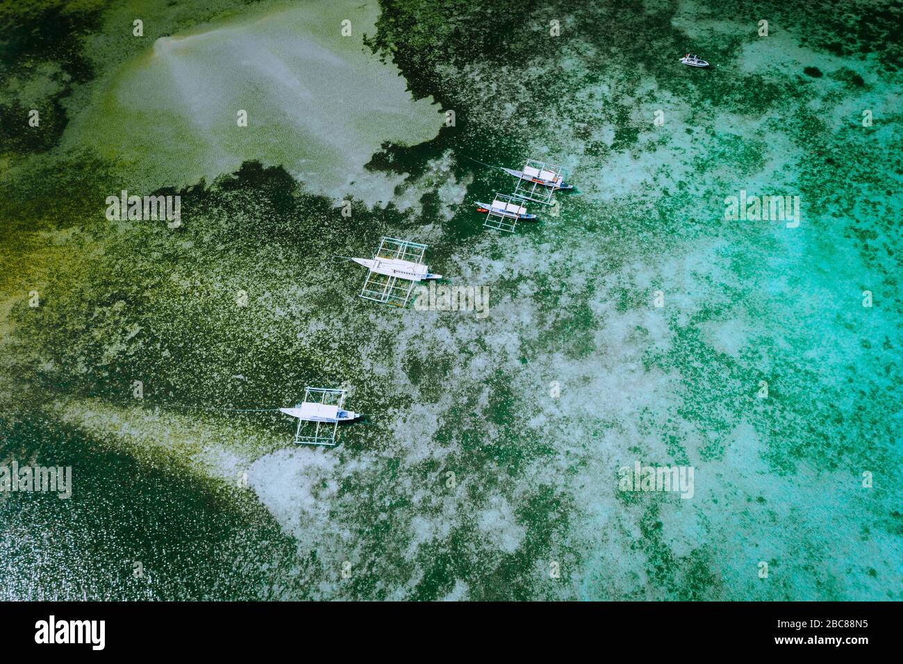 Aerial drone top down view of local banca boats and coral reef in ...