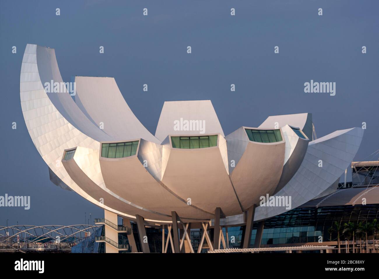 The Lotus Flower Shaped ArtScience Museum in Marina Bay Sands ...