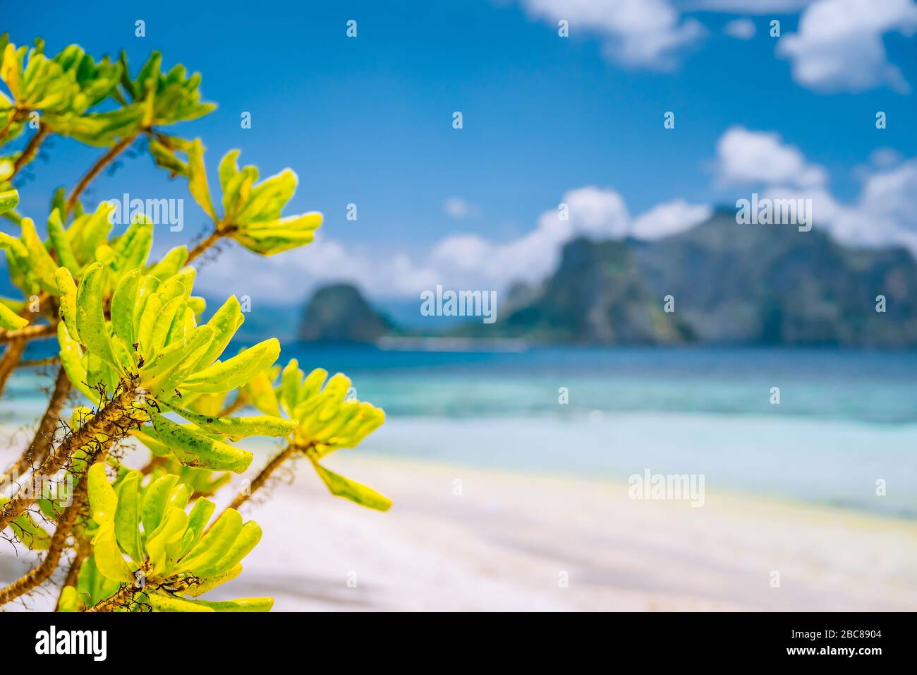 El Nido, Palawan, Philippines. Tropical beach scenery of tropical ...