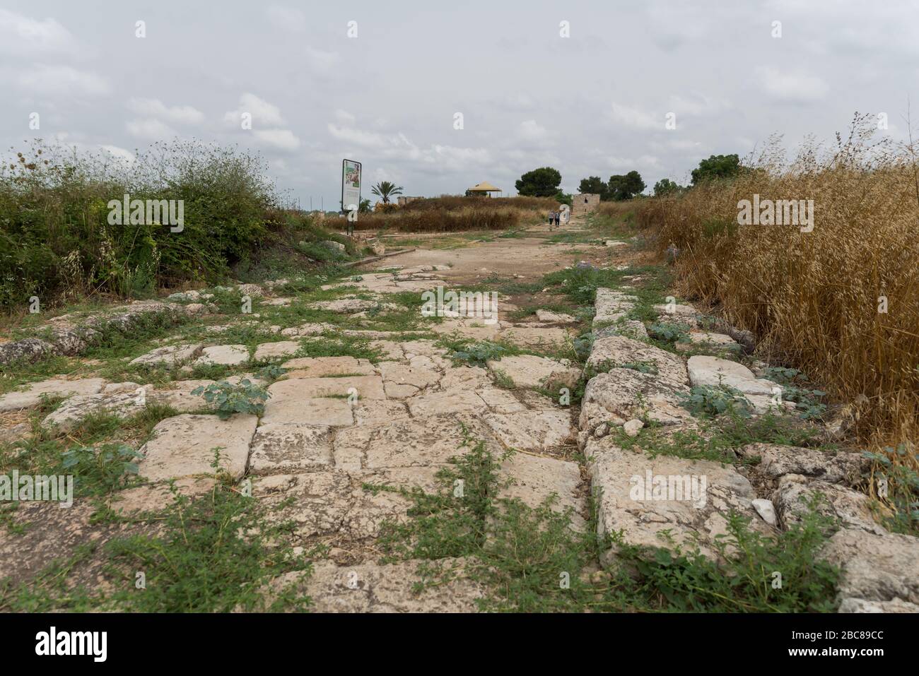 Yarkon National Park at central Israel Stock Photo - Alamy