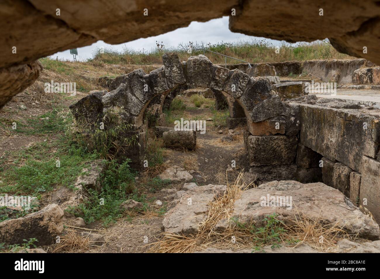 Yarkon National Park at central Israel Stock Photo - Alamy