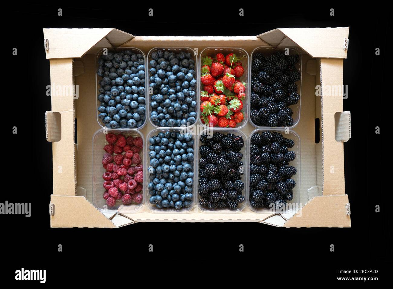 Eight plastic containers full of fresh blackberries, raspberries ...
