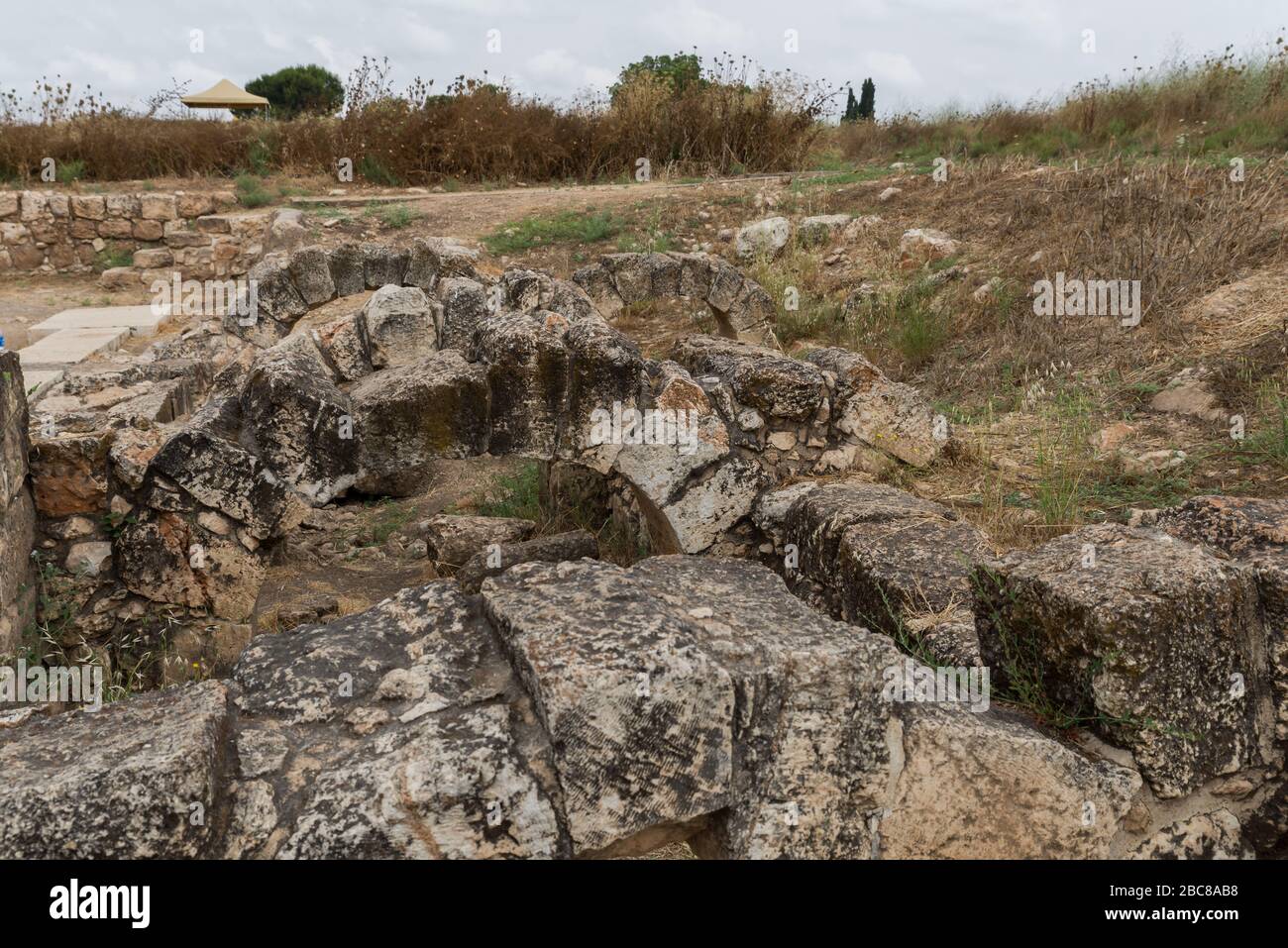 Yarkon National Park at central Israel Stock Photo - Alamy