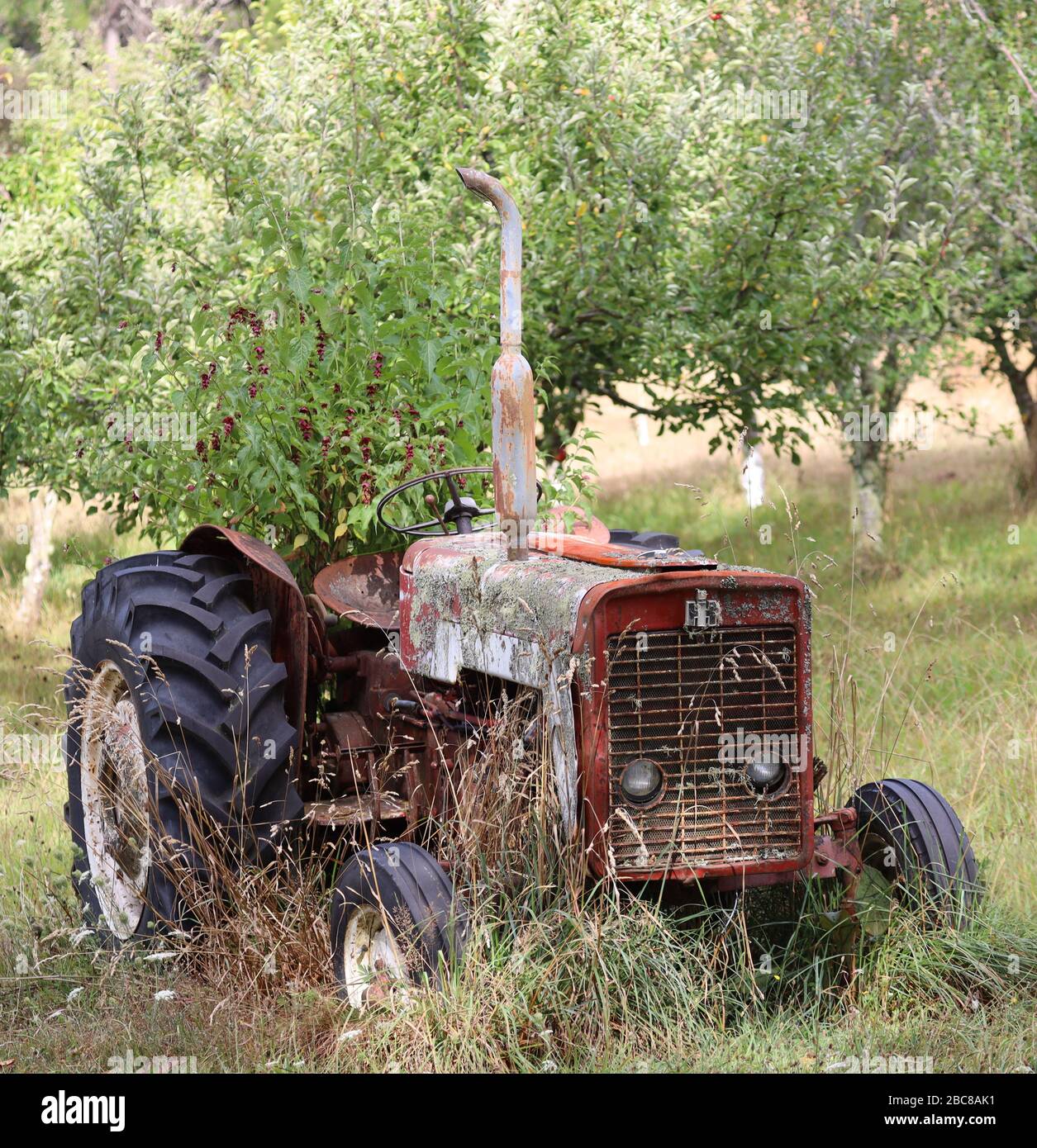 Old tractor. Abandoned rusty tractor. Marahau, Abel Tasman South Island ...