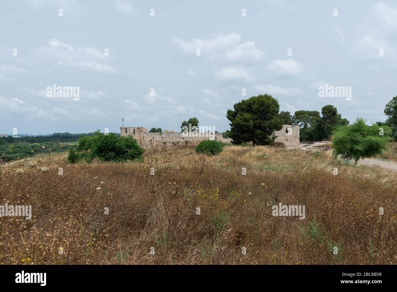 Yarkon National Park at central Israel Stock Photo - Alamy