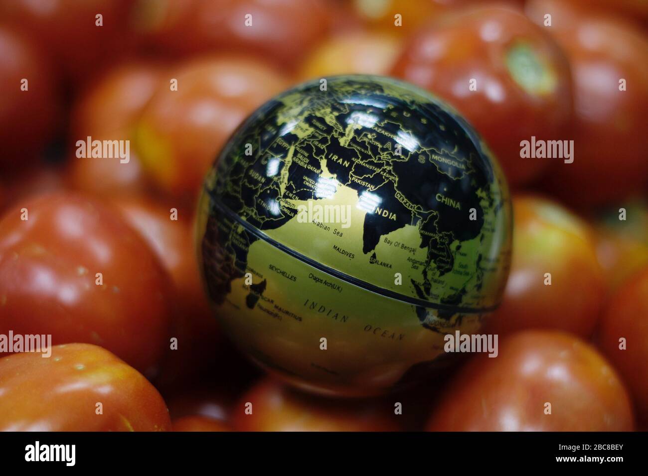 Globe tomato hi-res stock photography and images - Alamy