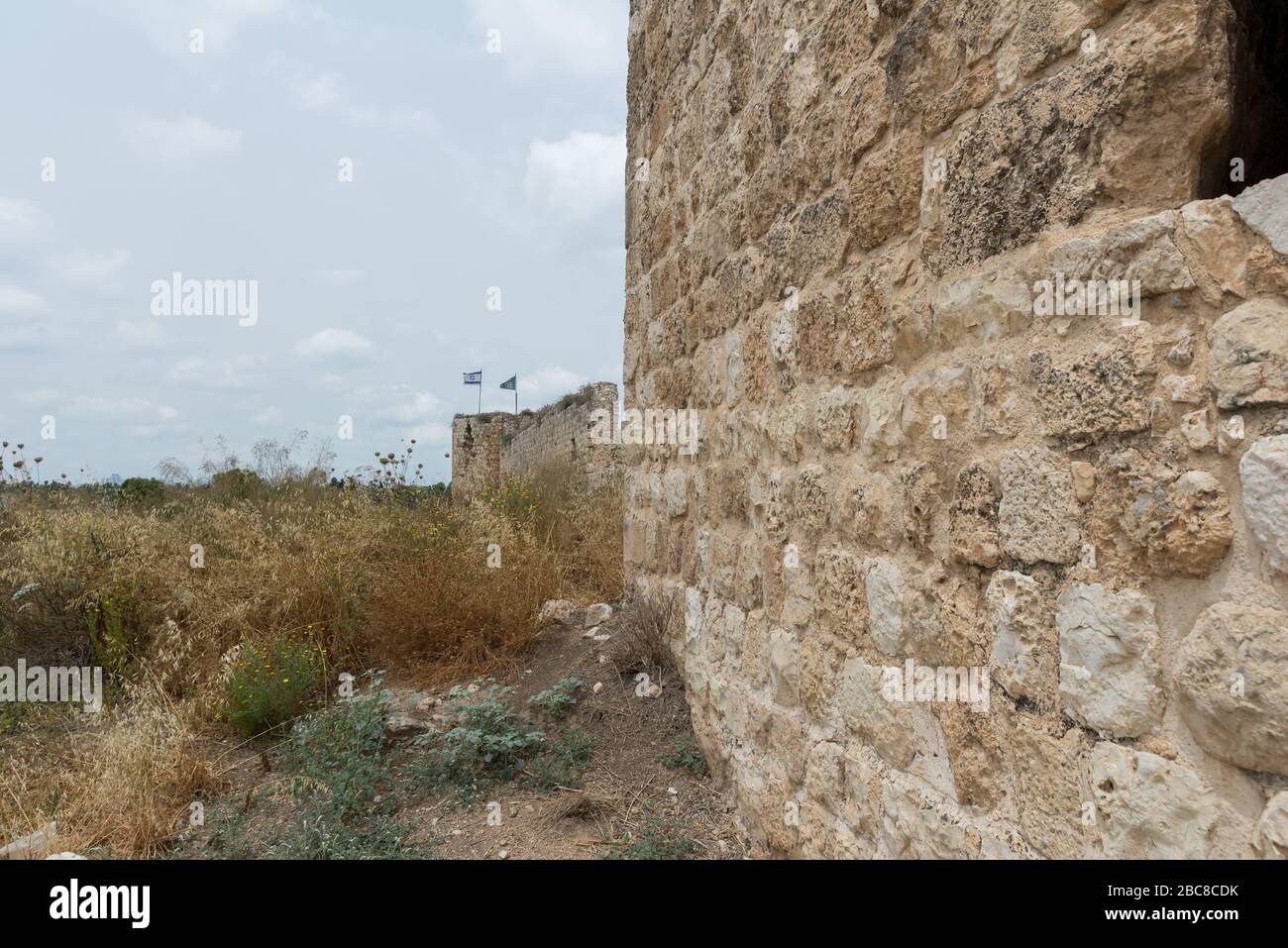 Yarkon National Park at central Israel Stock Photo - Alamy