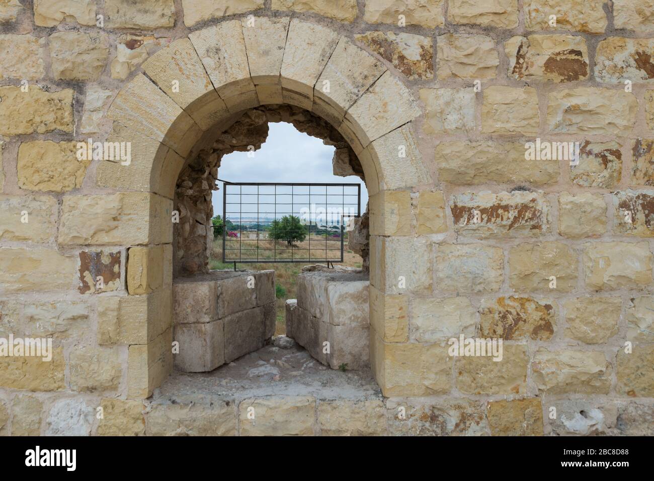 Yarkon National Park at central Israel Stock Photo - Alamy
