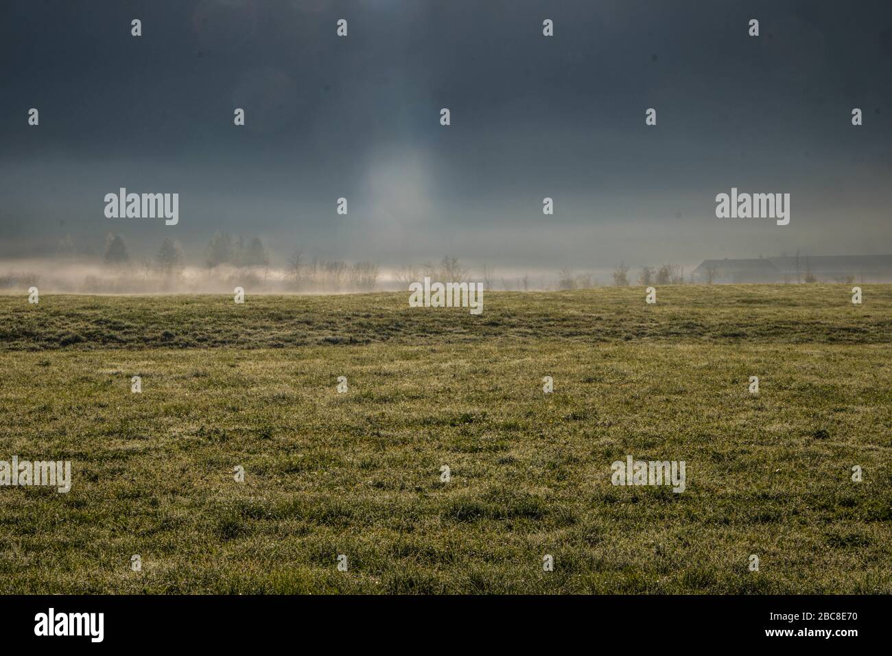 Light and fog lawn hi-res stock photography and images - Alamy