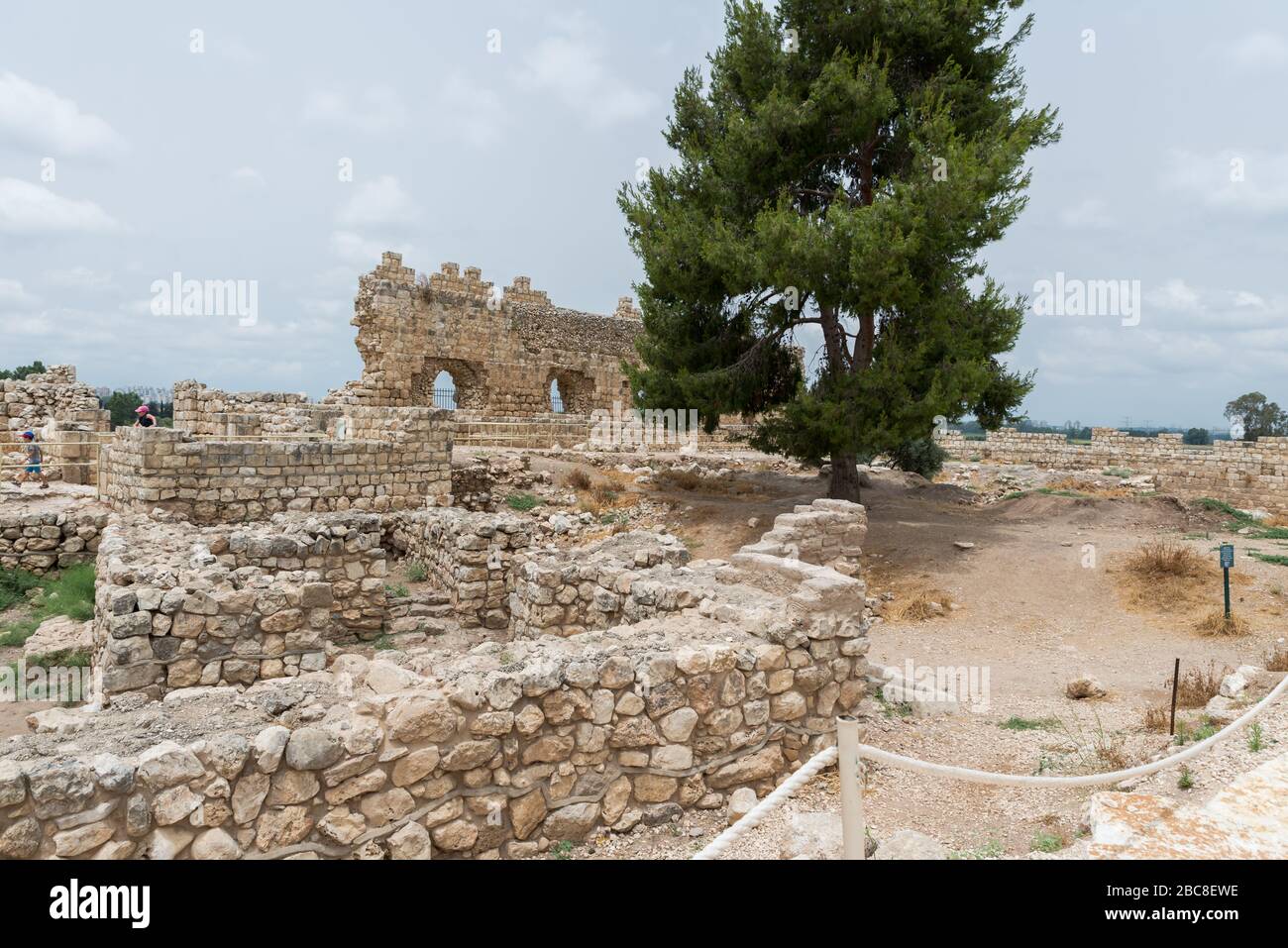 Yarkon National Park at central Israel Stock Photo - Alamy