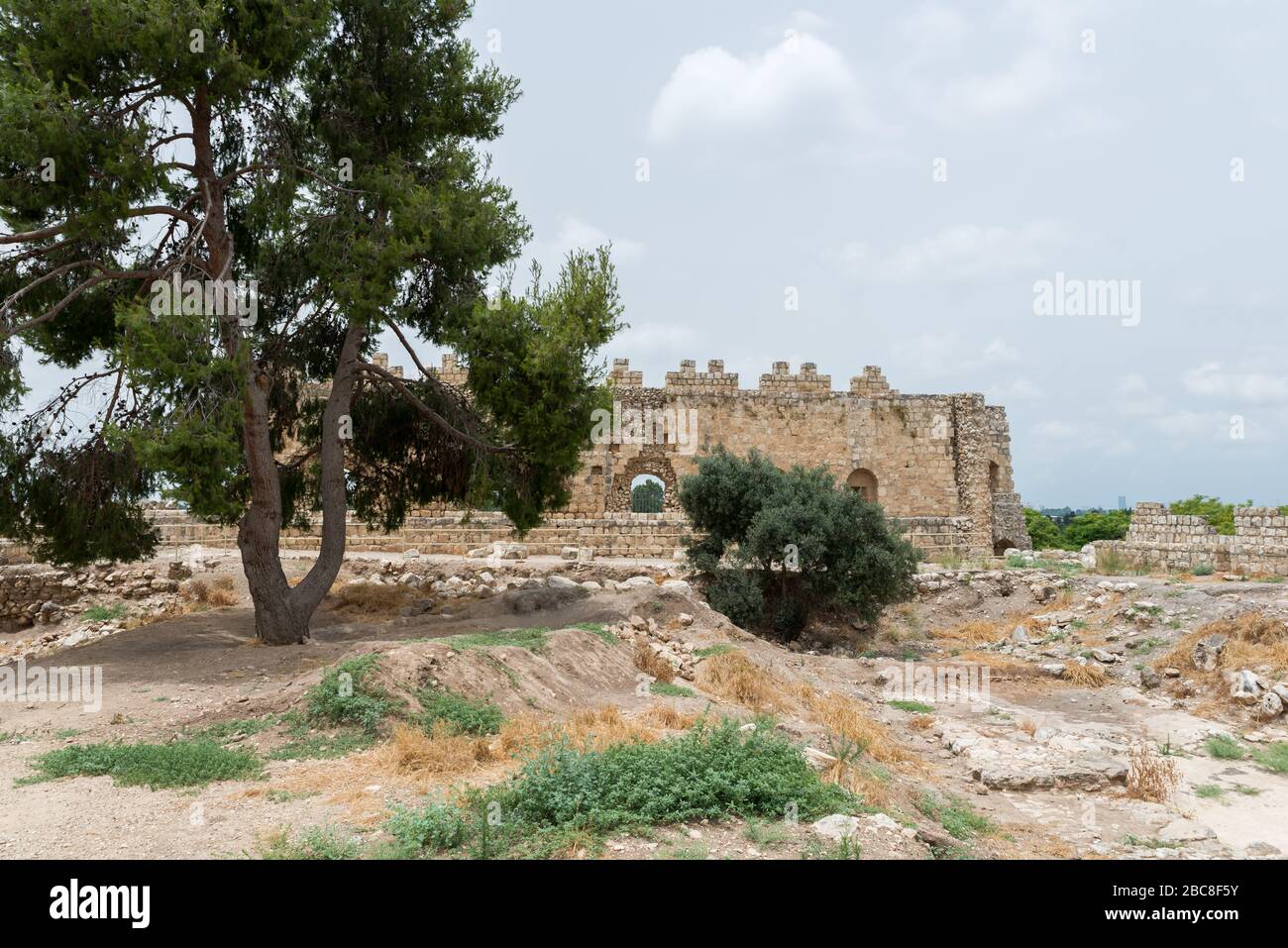 Yarkon National Park at central Israel Stock Photo - Alamy