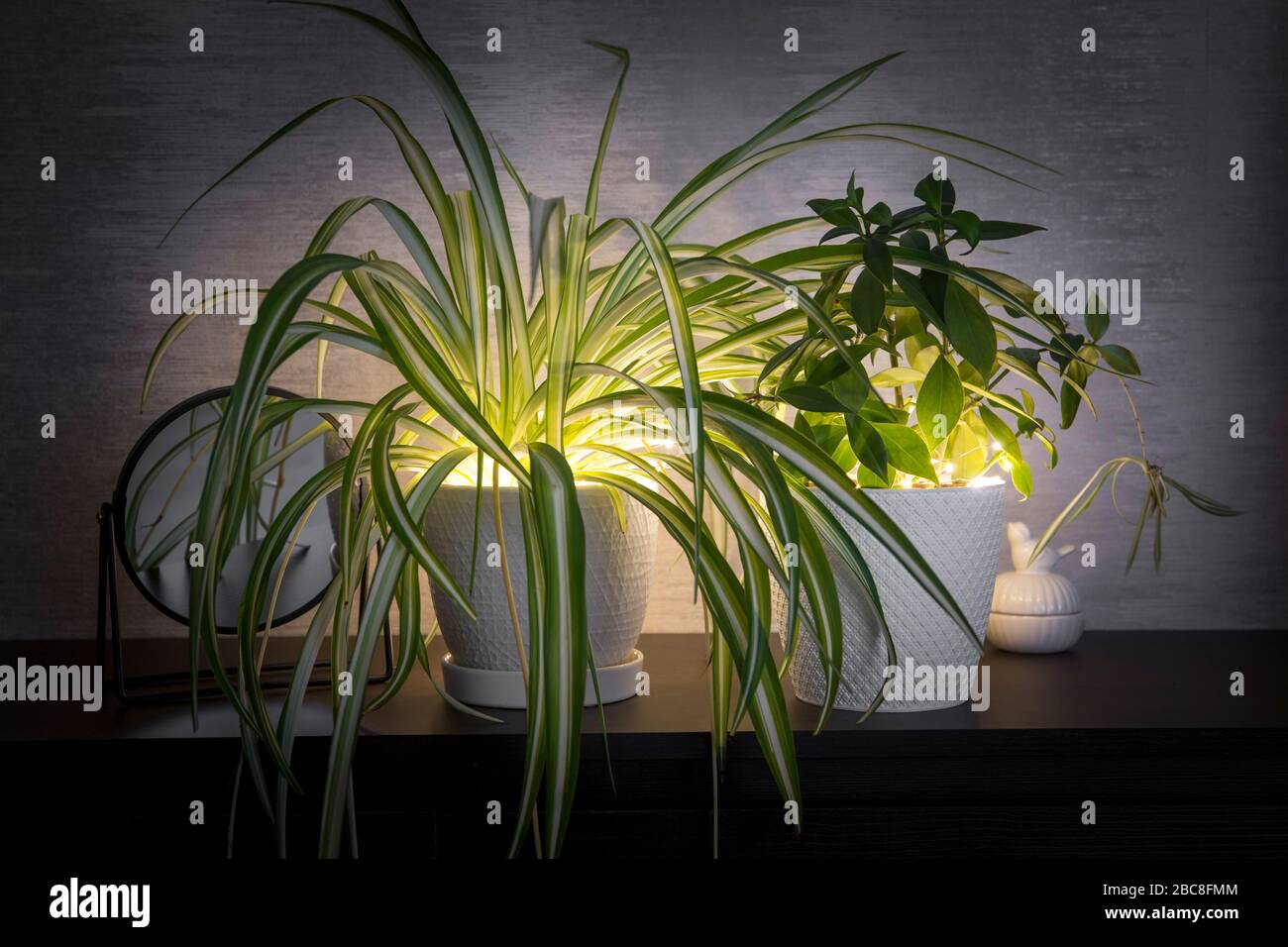 Modern house illuminating lights hi-res stock photography and images ...