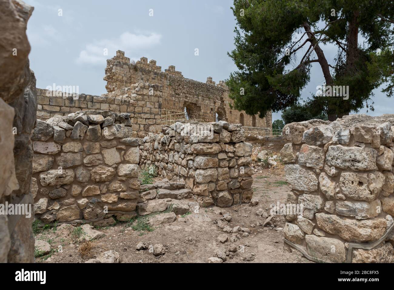 Yarkon National Park at central Israel Stock Photo - Alamy