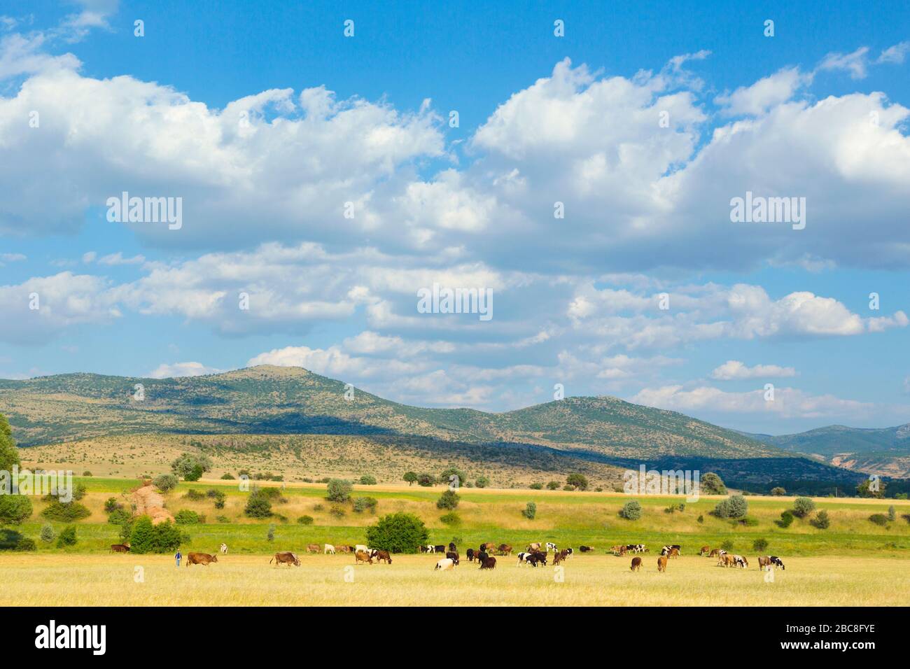 Turkish countryside hi-res stock photography and images - Alamy