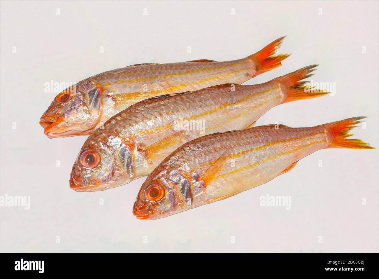 Pink Perch Fish High Resolution Stock Photography and Images - Alamy