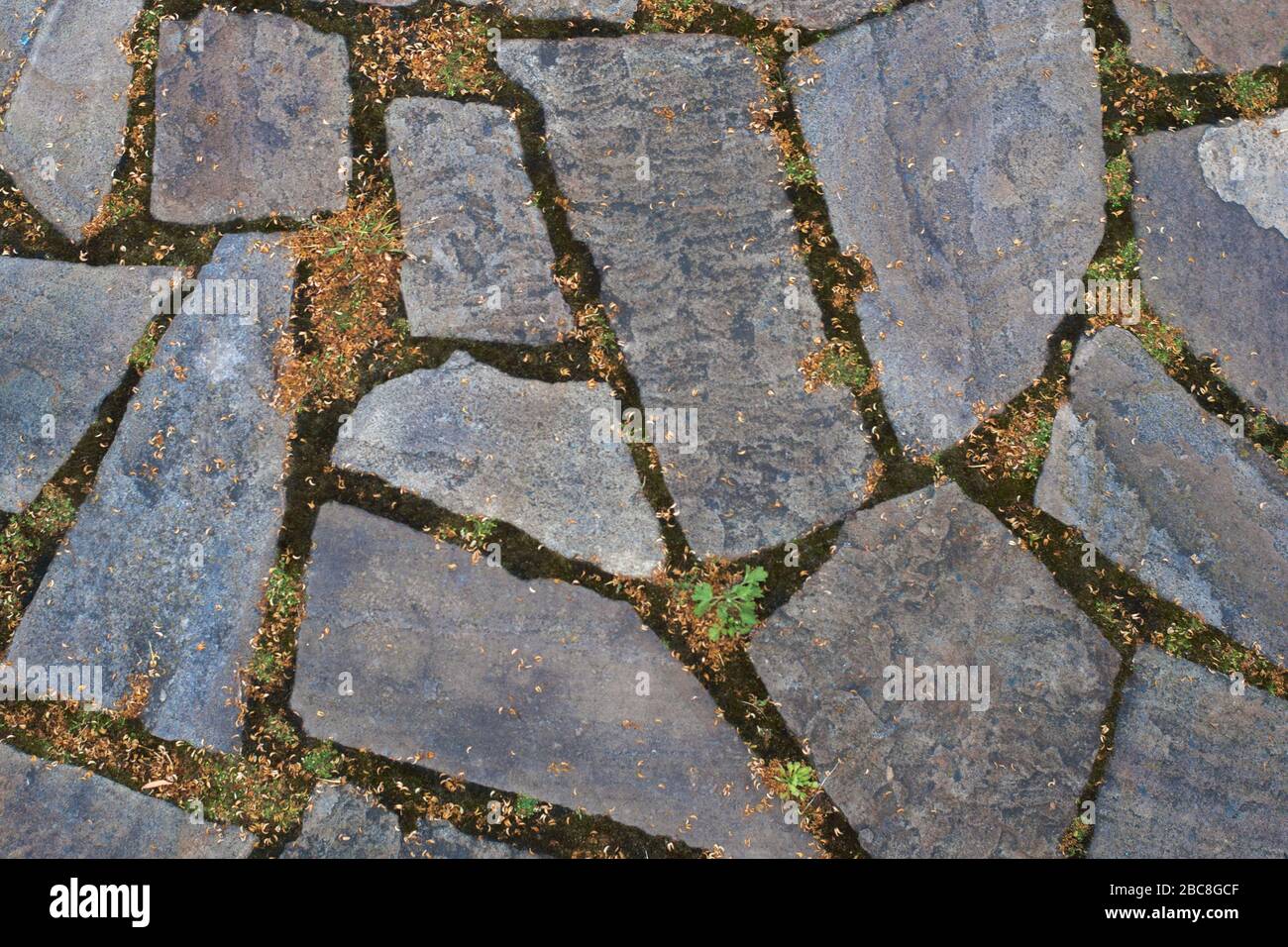Photo of the stone road, background texture Stock Photo - Alamy