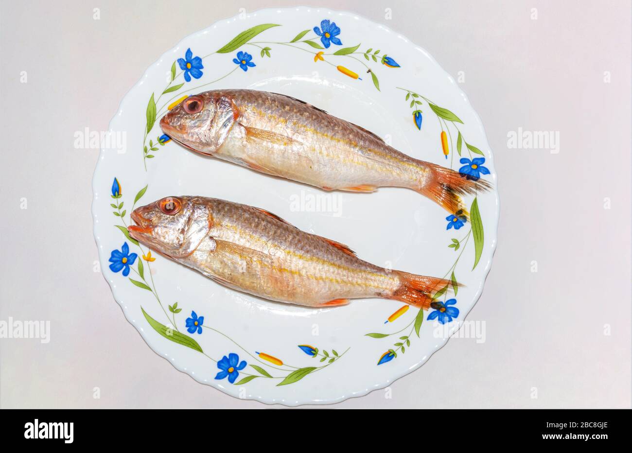 Pink Perch Fish High Resolution Stock Photography and Images - Alamy