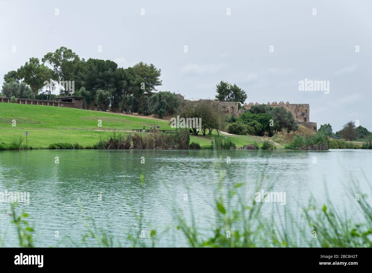 Yarkon National Park at central Israel Stock Photo - Alamy
