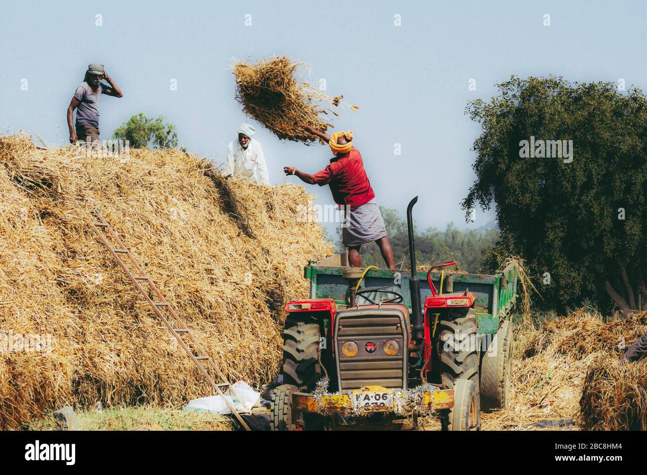 group of indian farmers working Stock Photo - Alamy