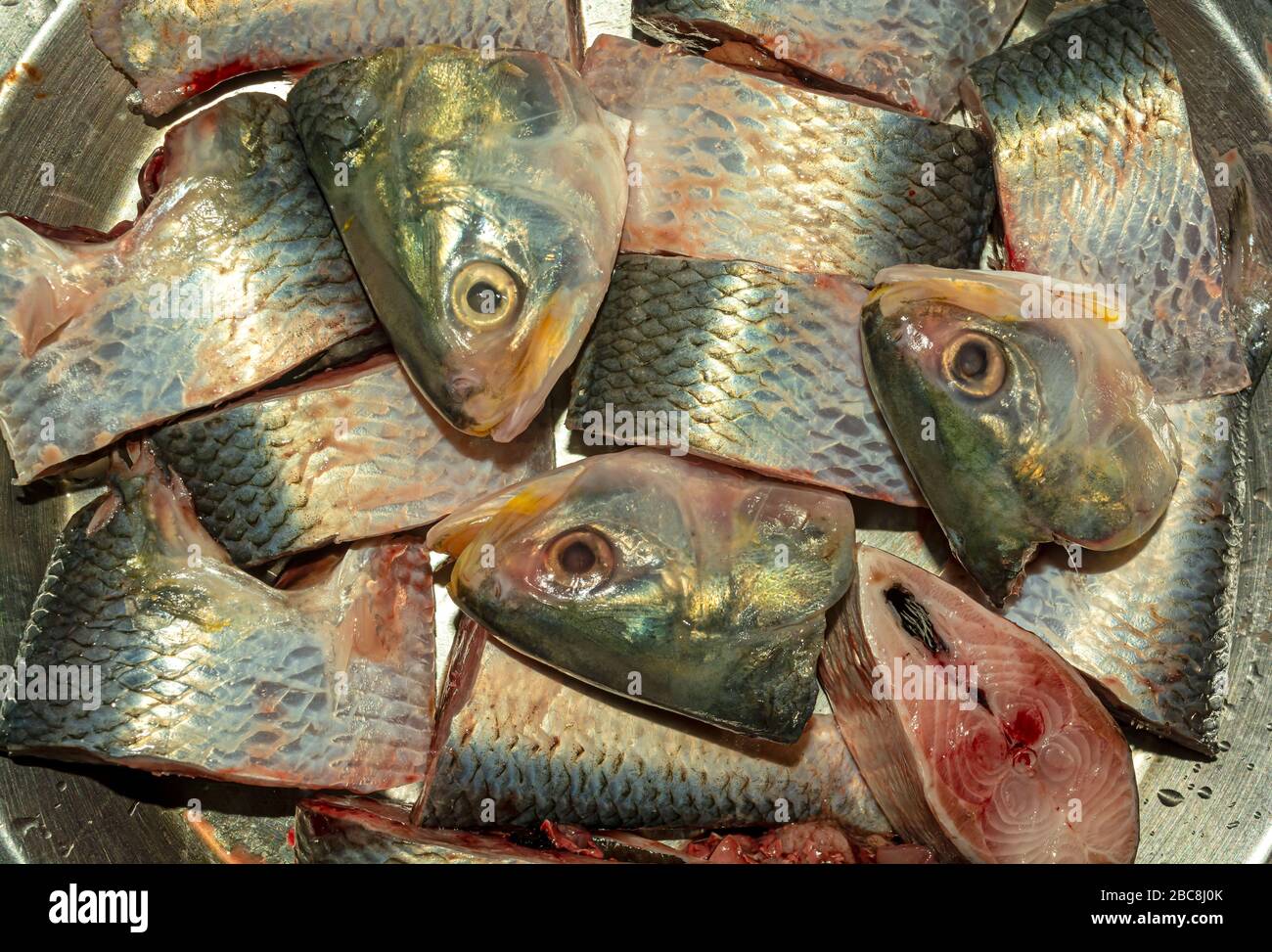 Silver Hilsa High Resolution Stock Photography and Images - Alamy