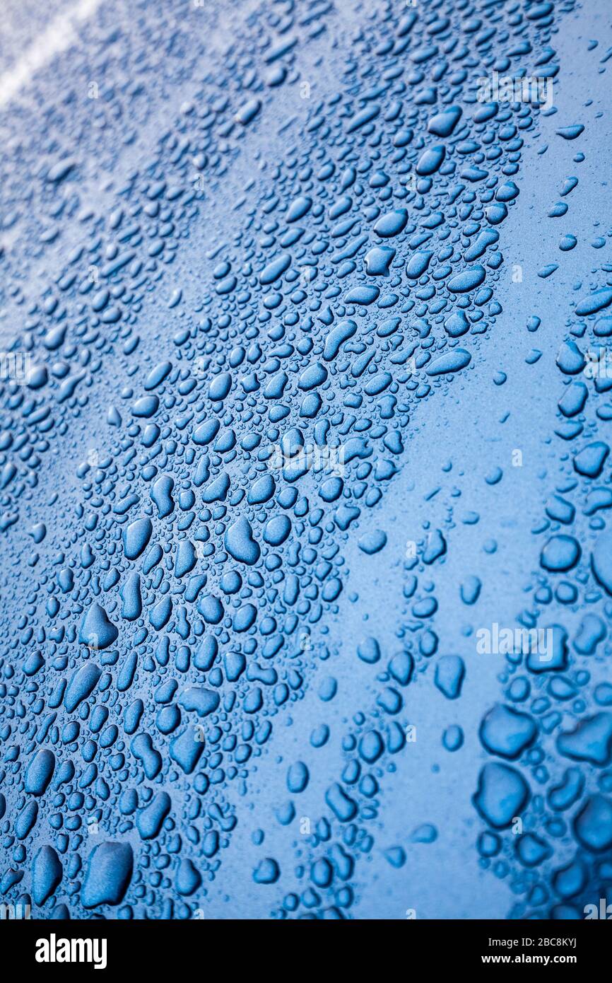 Rain bonnet hi-res stock photography and images - Alamy