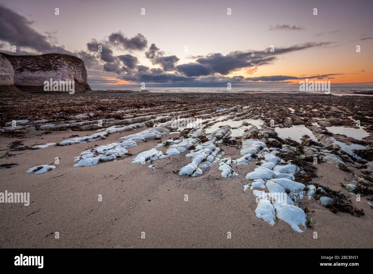 Selwicks Bay, Dawn, Flamborough Head, East Yorkshire, England Stock ...