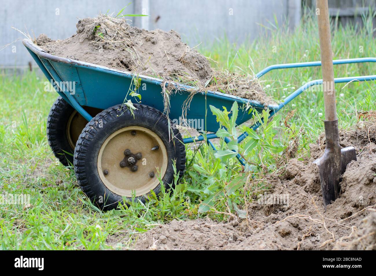 Two-wheeled wheelbarrow with earth located near shovel Stock Photo - Alamy