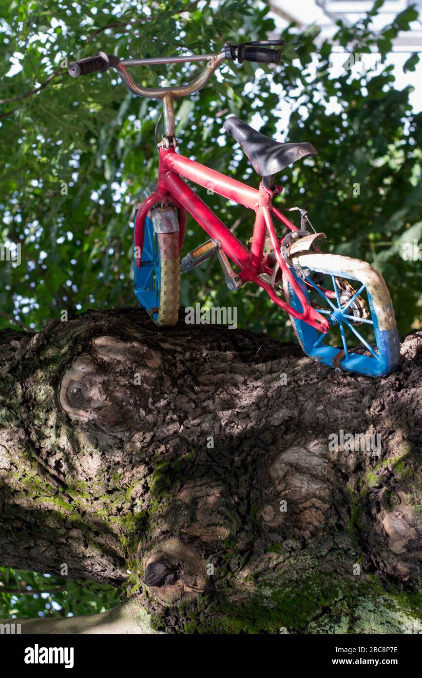 Bicycle attached to tree hi-res stock photography and images - Alamy