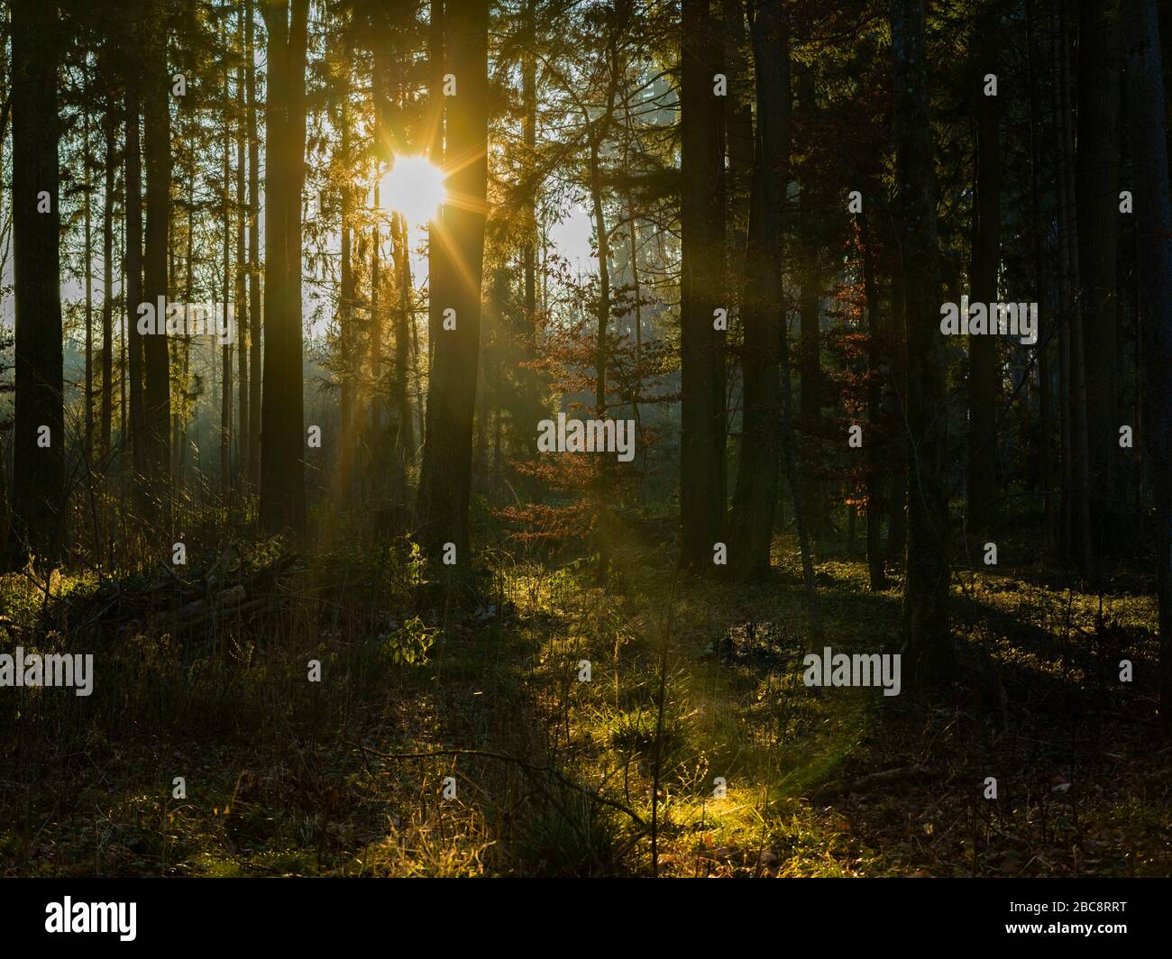 Seasons extract hi-res stock photography and images - Alamy