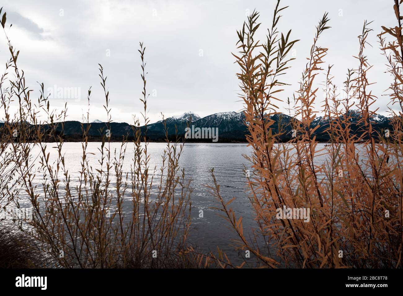 Hopfensee, Hopfen am See, Bavaria, Germany, Europe Stock Photo - Alamy