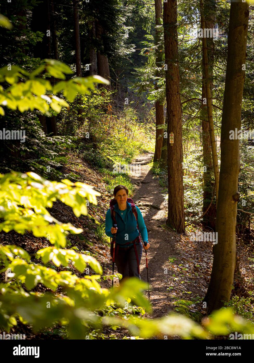 Hiking on the second valley trail Stock Photo - Alamy