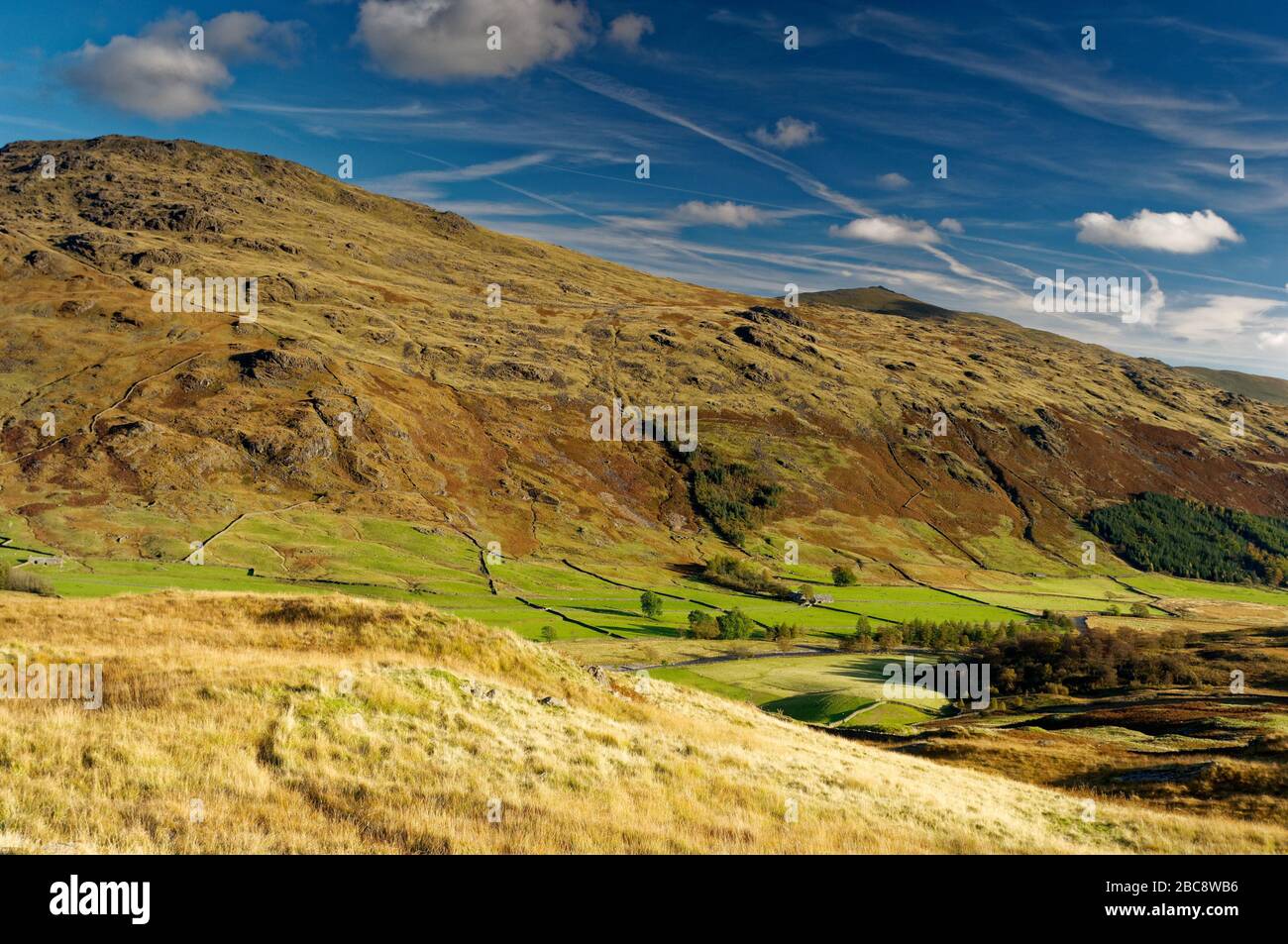 Langdale Valley, Lake District National Park, England Stock Photo - Alamy