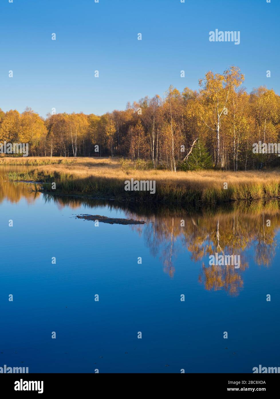 Europe, Germany, Hesse, UNESCO Rhön Biosphere Reserve, Rotes Moor ...