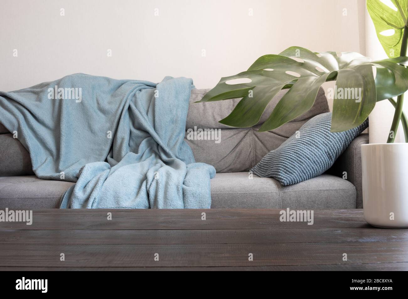 Modern living room with comfotable sofa. Home interior. Stay at home ...