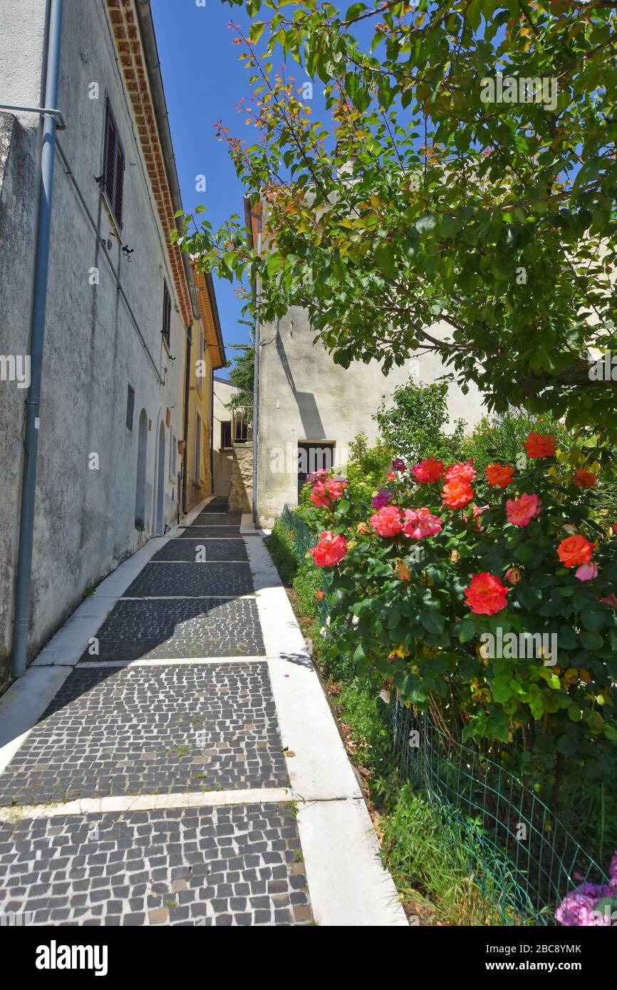 A narrow street between the houses of Scapoli, a village in the Molise ...
