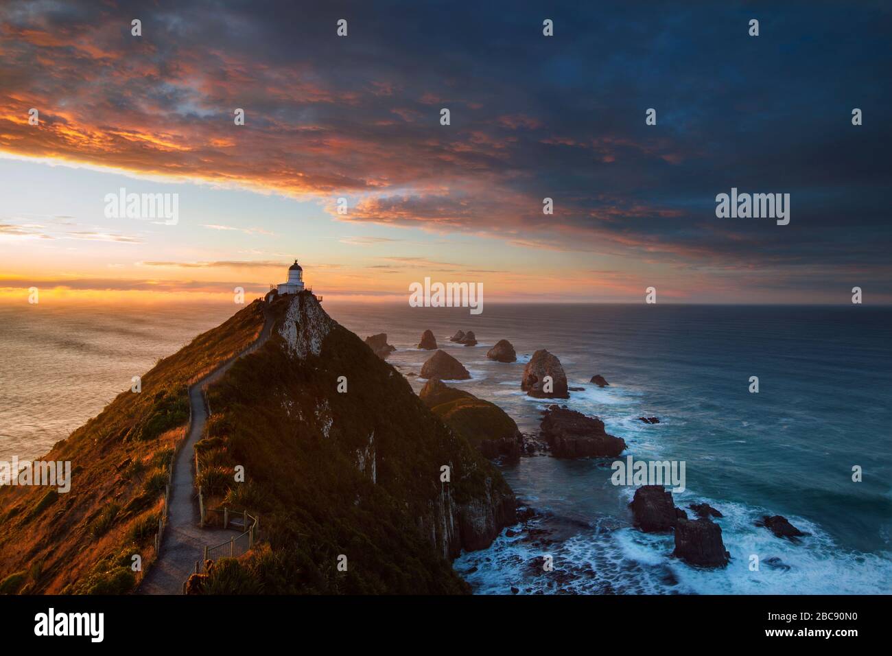 Nugget point light house hi-res stock photography and images - Alamy