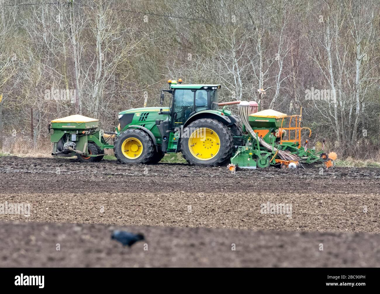 Seeding soil hi-res stock photography and images - Alamy