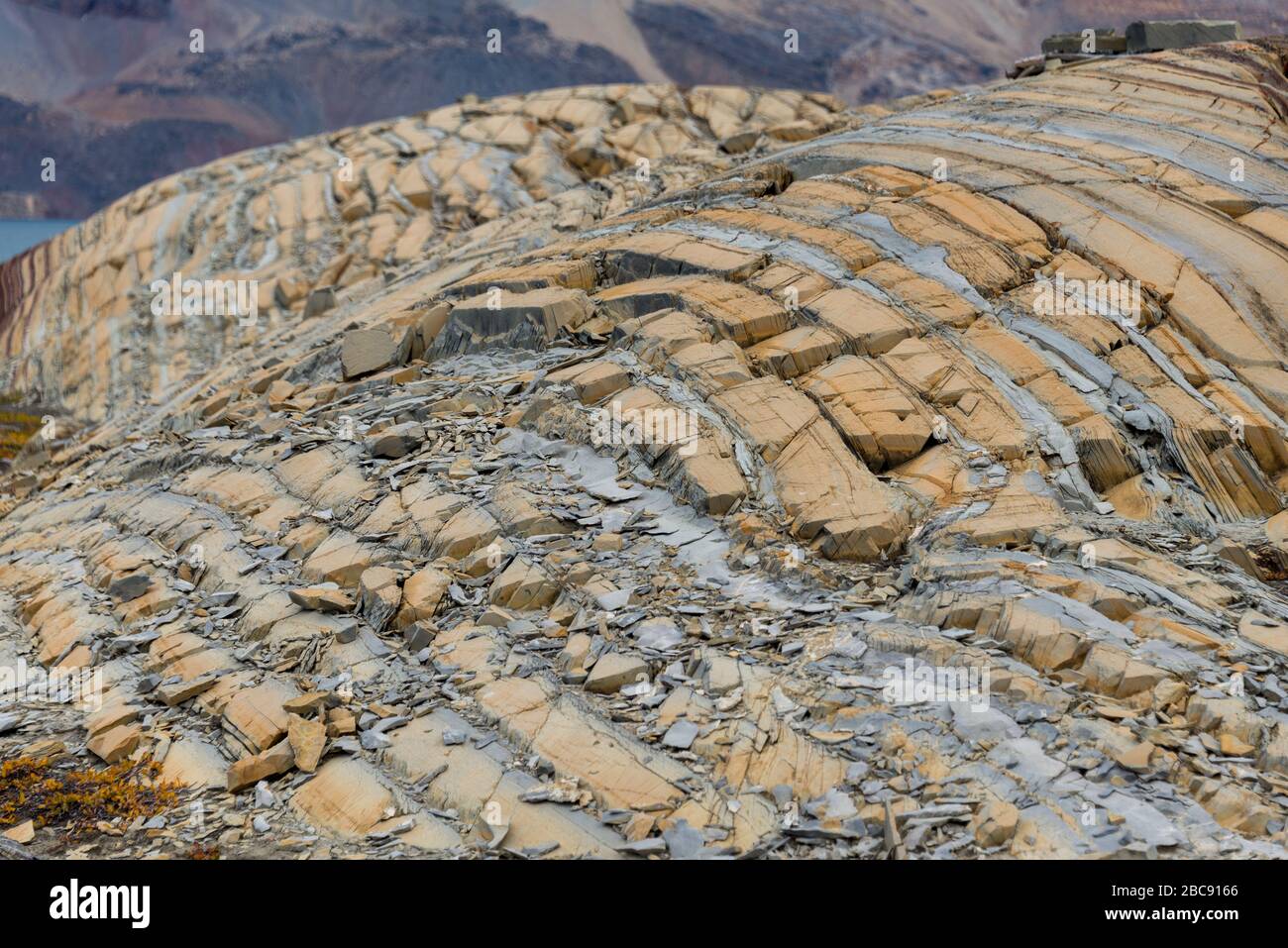 Colourful rocks in east Greenland close up. Rock texture Stock Photo ...