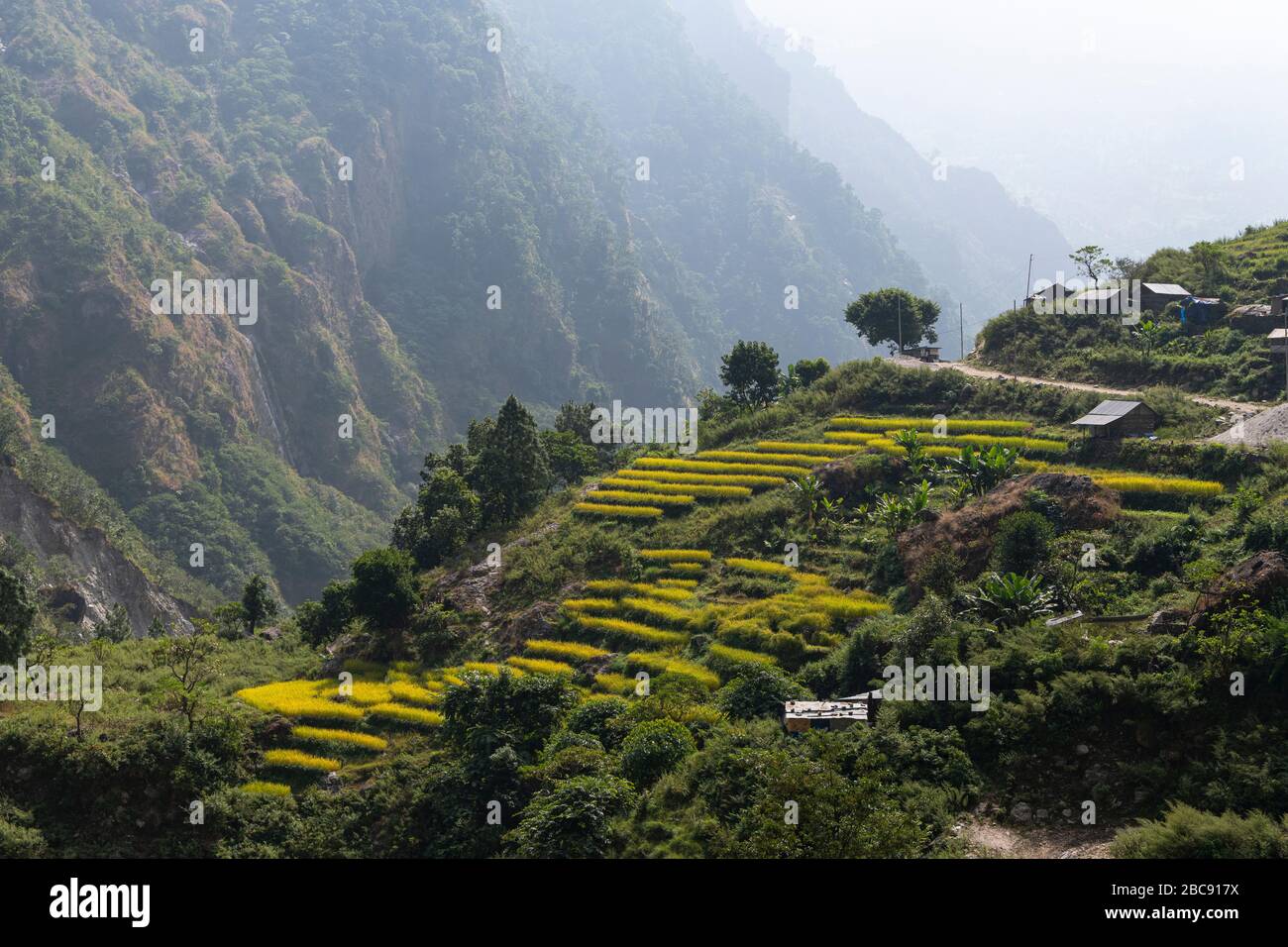 On manaslu circuit trekking hi-res stock photography and images - Alamy
