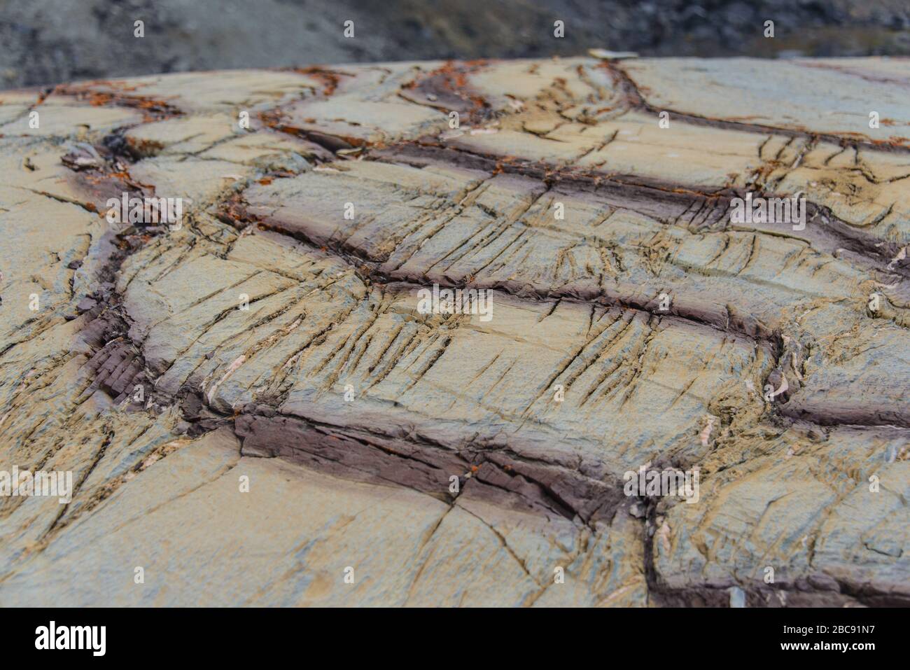 Colourful rocks in east Greenland close up. Rock texture Stock Photo ...
