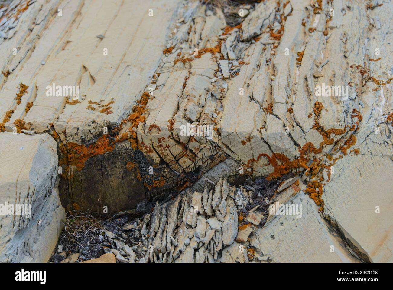 Colourful rocks in east Greenland close up. Rock texture Stock Photo ...