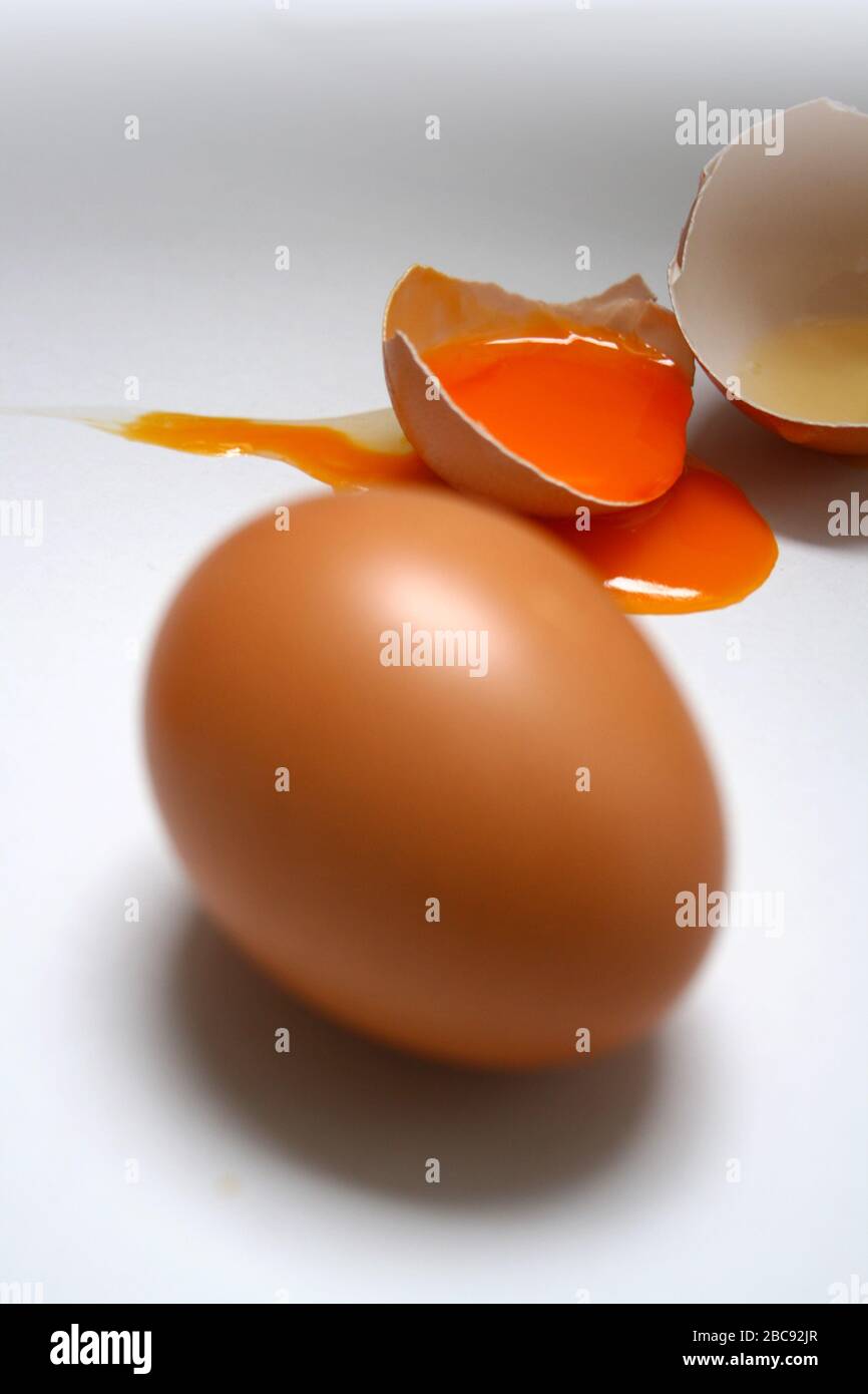 Egg with brown eggshell Stock Photo - Alamy