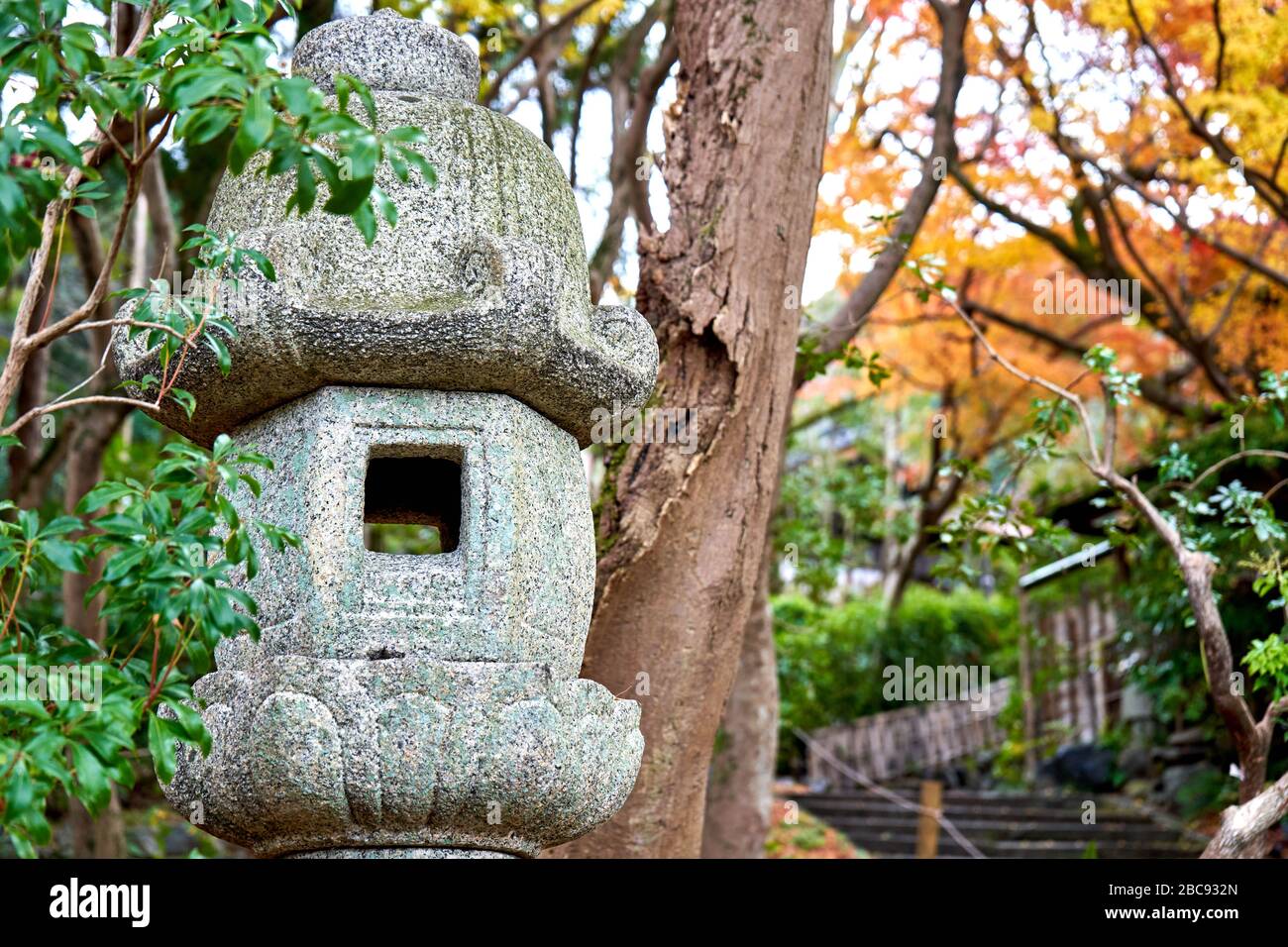 Old stone lantern in forest Stock Photo - Alamy