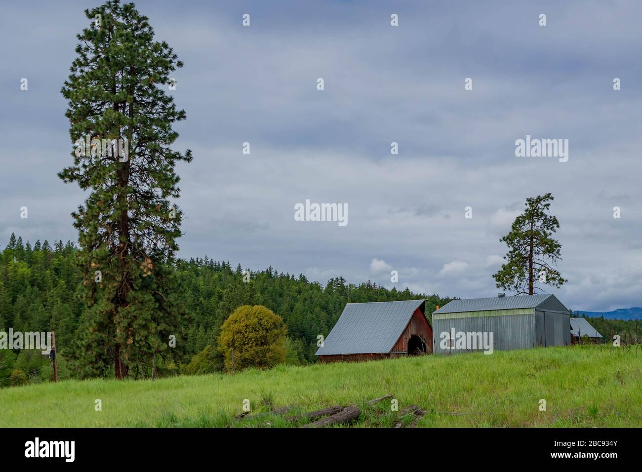 Farms In Central Oregon at Dominic Darker blog