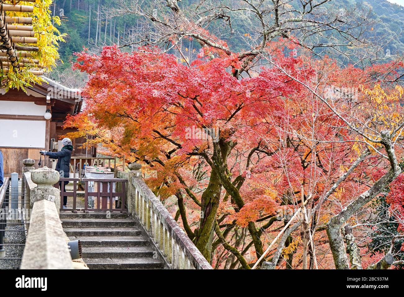 Beauty of kyoto hi-res stock photography and images - Alamy