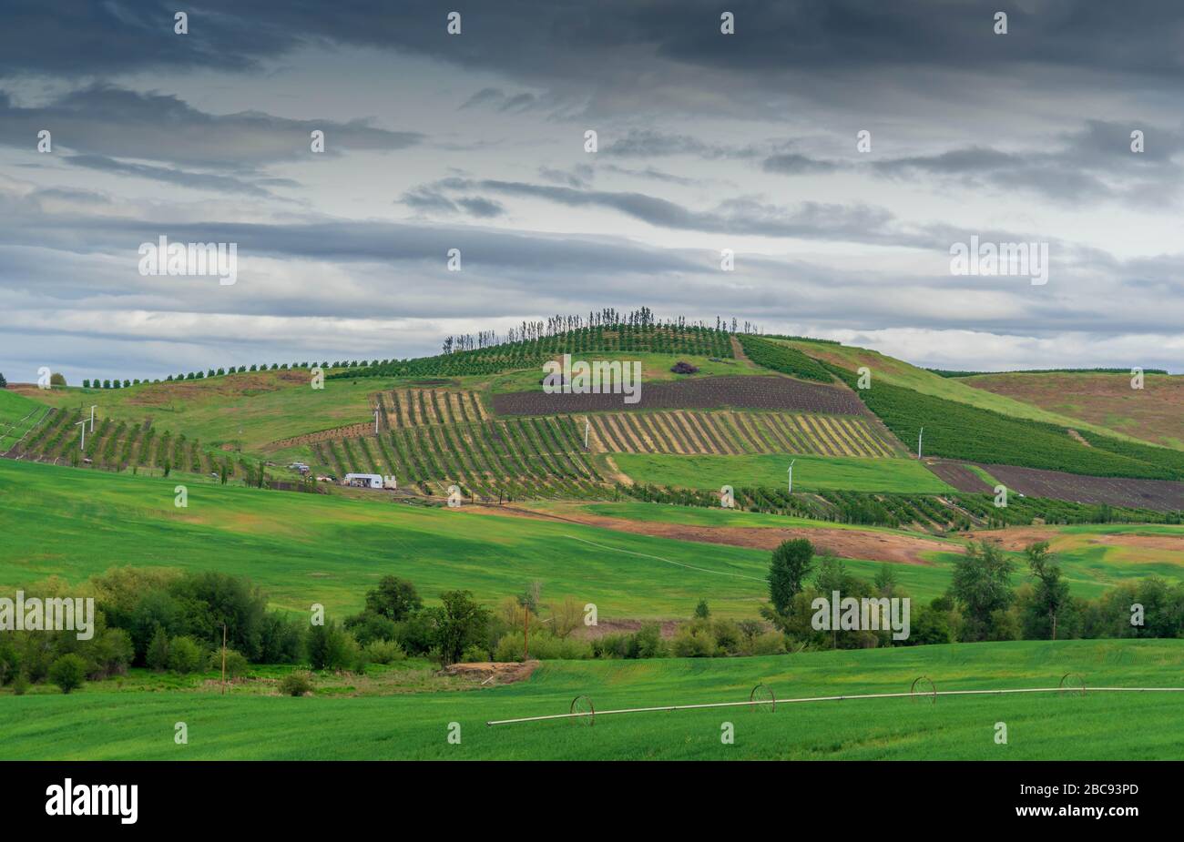 Wasco county hi-res stock photography and images - Alamy