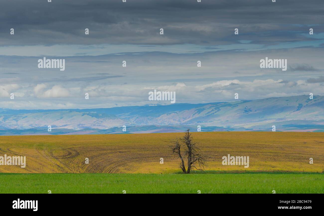 Oregon county 19th century hi-res stock photography and images - Alamy